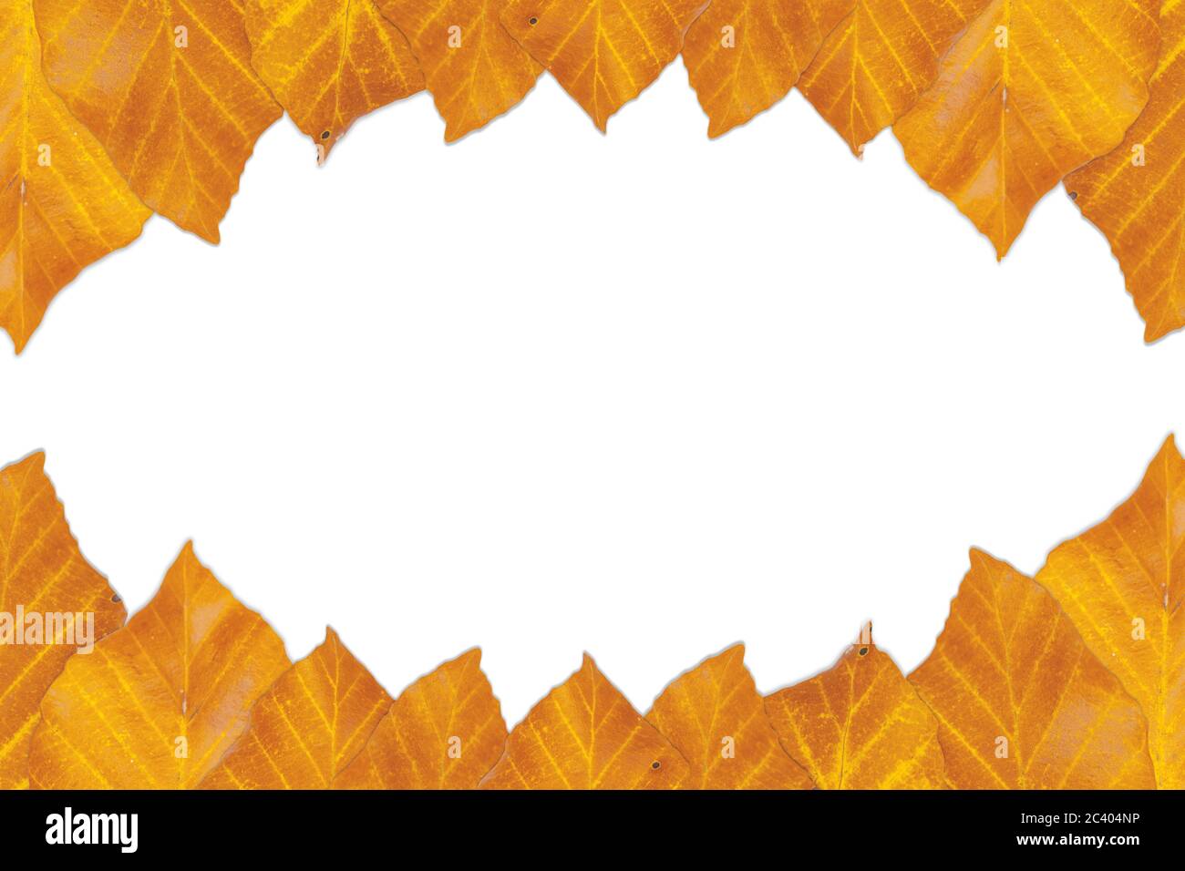 Autumn Leaf Frame Stock Photo - Alamy