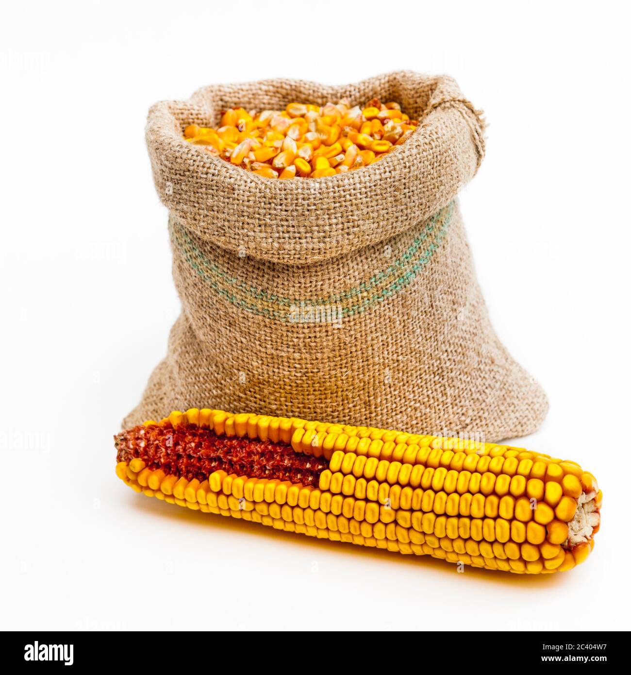 Front view shot of a bag full of corn kernels with a corn ear in front ...