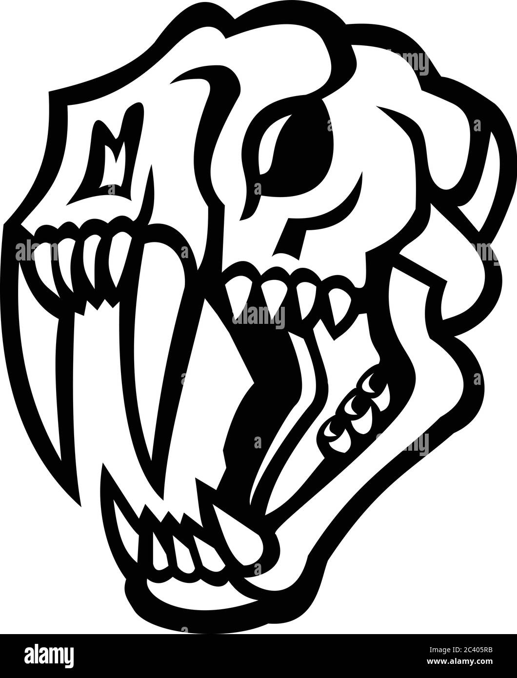 Sabre tooth skull Stock Vector Images - Alamy