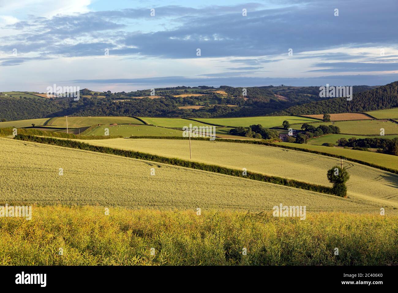 Devon, Agricultural Field, Farm, Dartmoor National Park, Agriculture ...