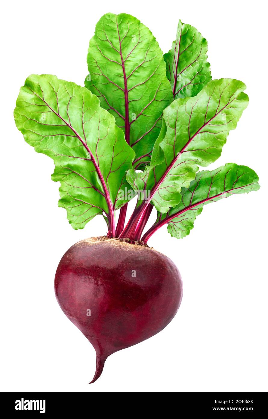 Beetroot isolated on white background with clipping path Stock Photo - Alamy