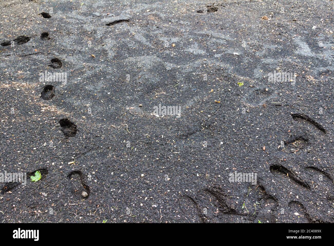 Empty flower-bed with footprints in street Stock Photo - Alamy