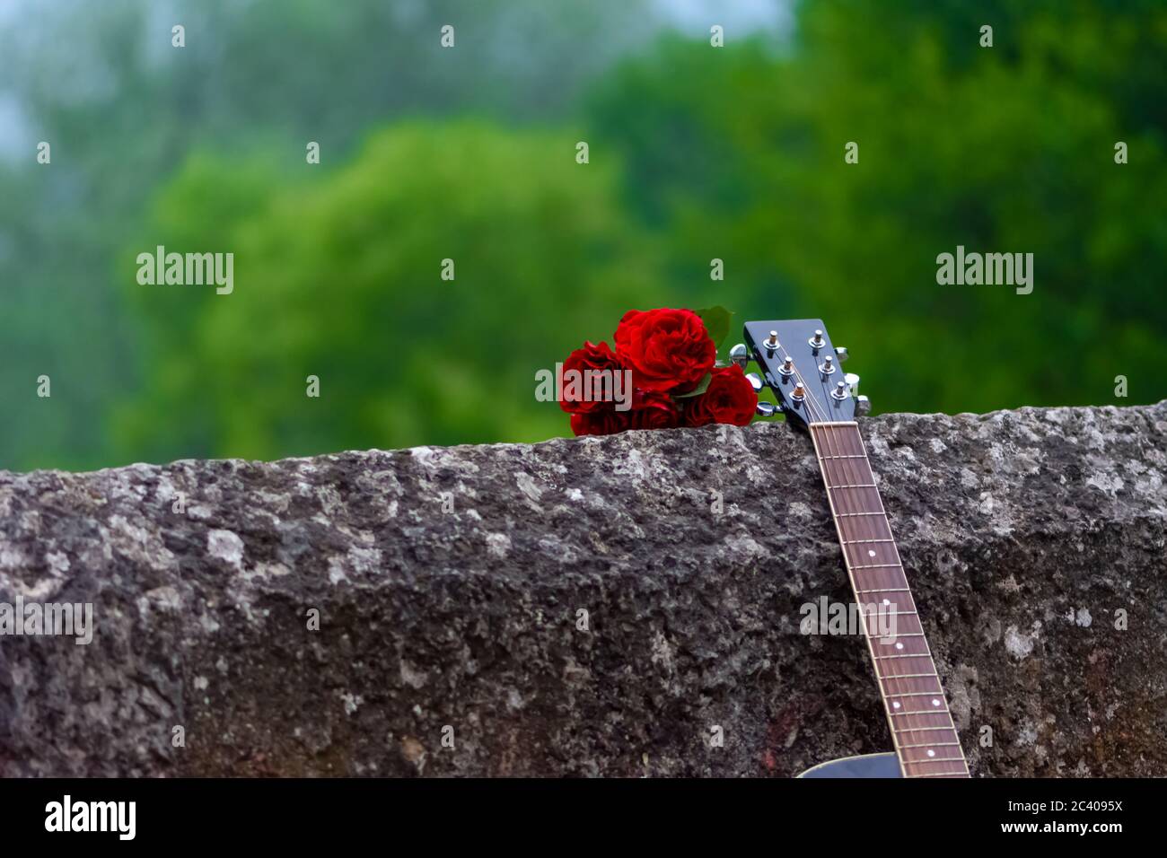 Acoustic guitar and bouquet of red roses Stock Photo - Alamy
