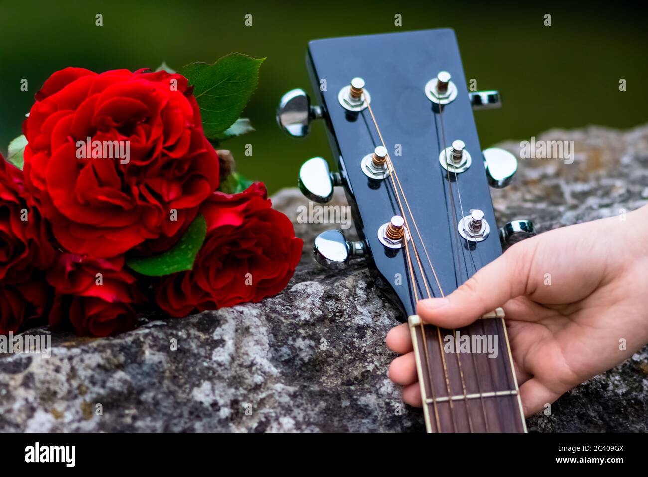 Red roses acoustic guitar hi-res stock photography and images - Alamy
