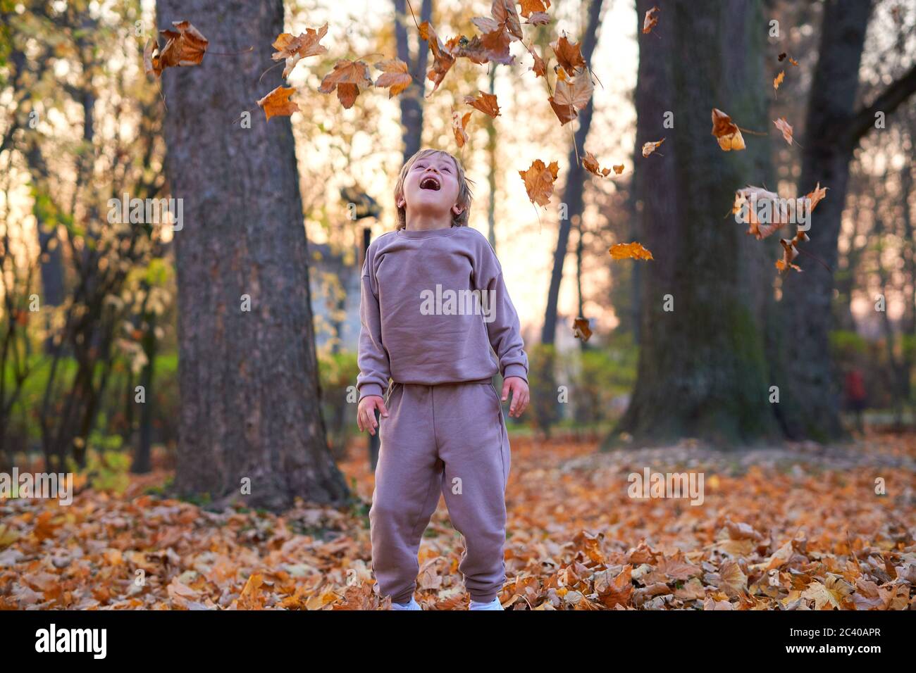 Little boy running in autumn fallen leaves. Play, alley Stock Photo - Alamy