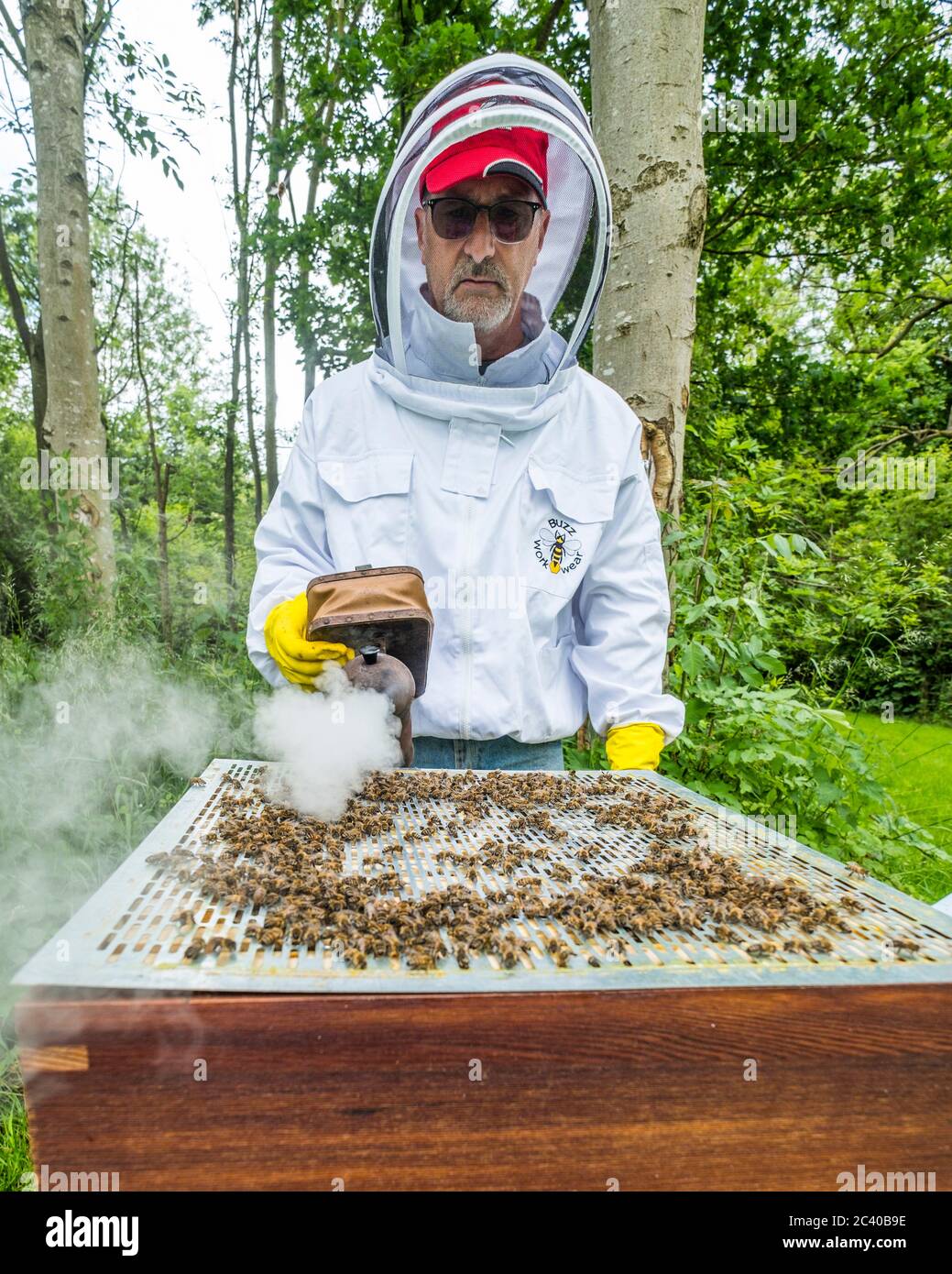 Bee keeping smoker hi-res stock photography and images - Alamy
