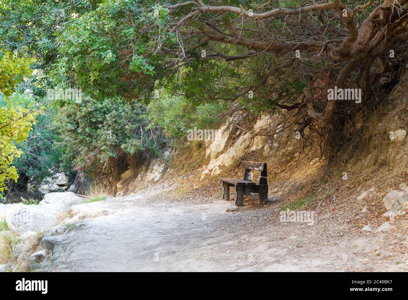 Amazing natural landscape in the Avakas canyon in Cyprus. National wild ...