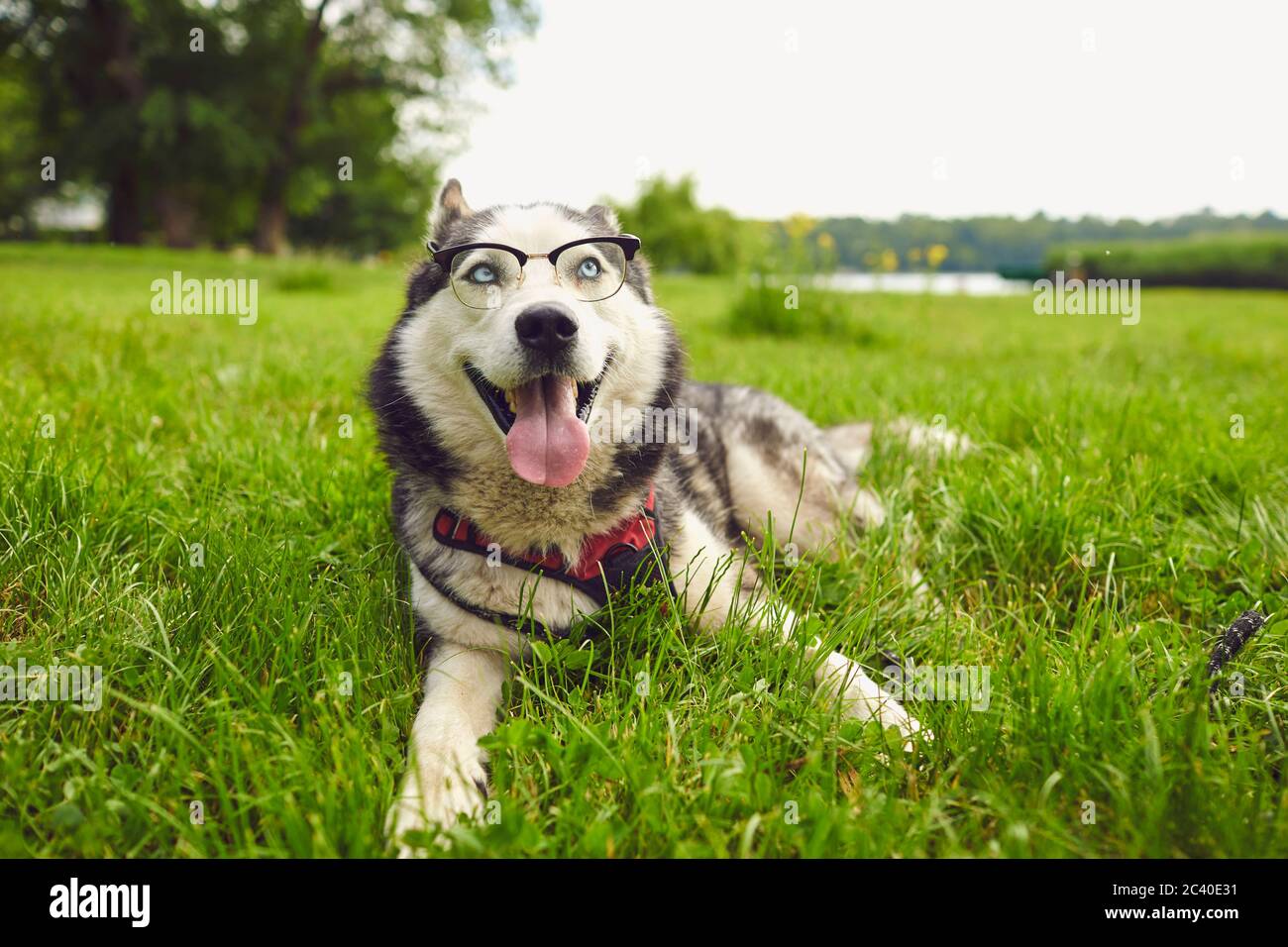 Smart lenses hi-res stock photography and images - Alamy