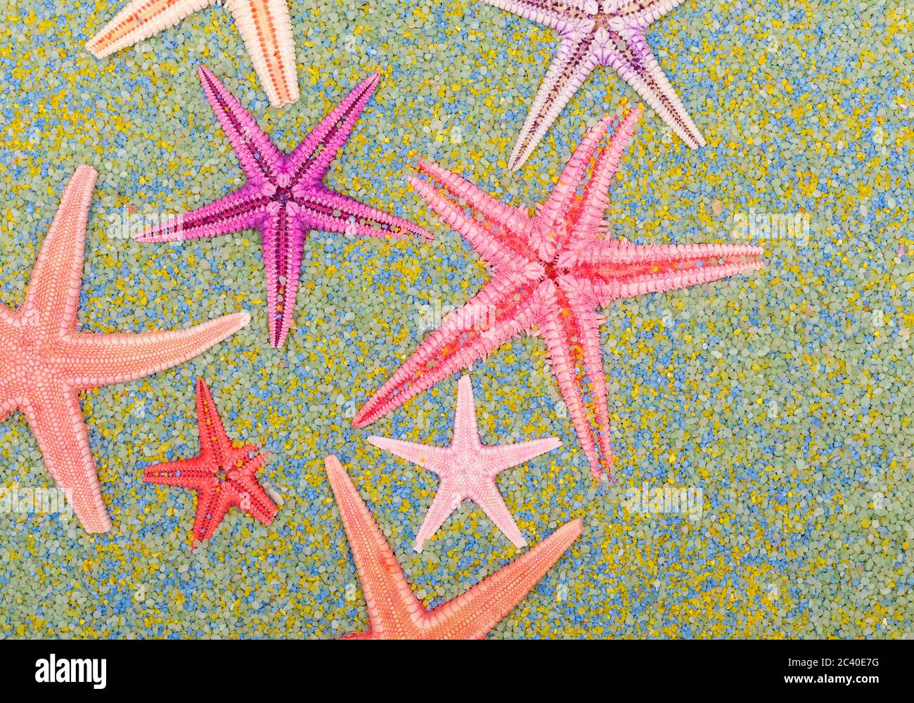 Sea stars on colorful sand Stock Photo - Alamy