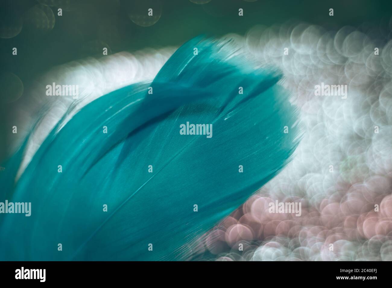 Close up Beautiful blue Bird feather pattern on a bokeh background for ...