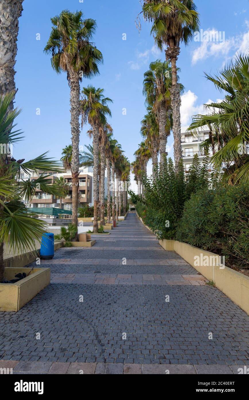 Buildings in Paphos on the island of Cyprus. The concept of travel and ...