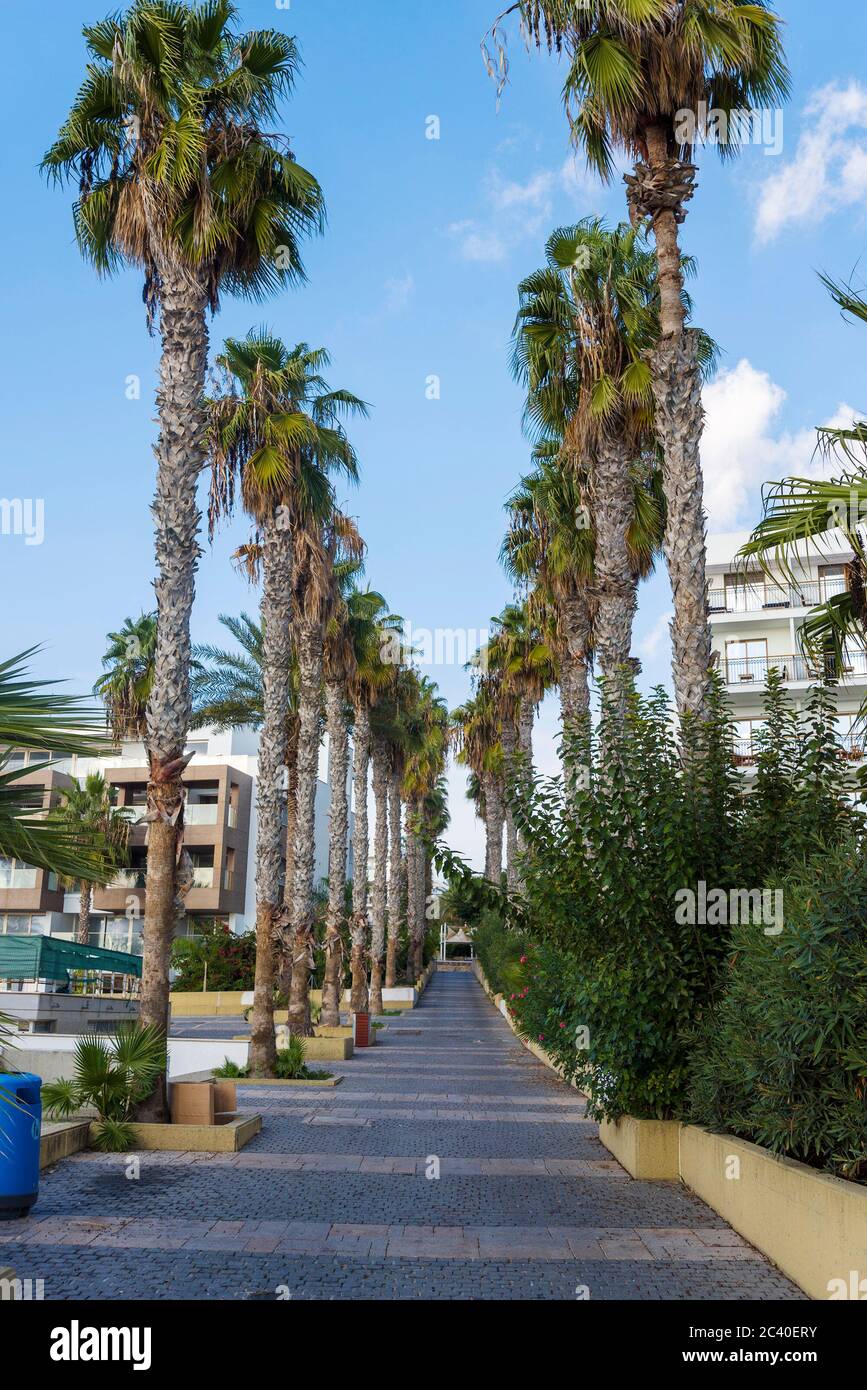 Buildings in Paphos on the island of Cyprus. The concept of travel and ...