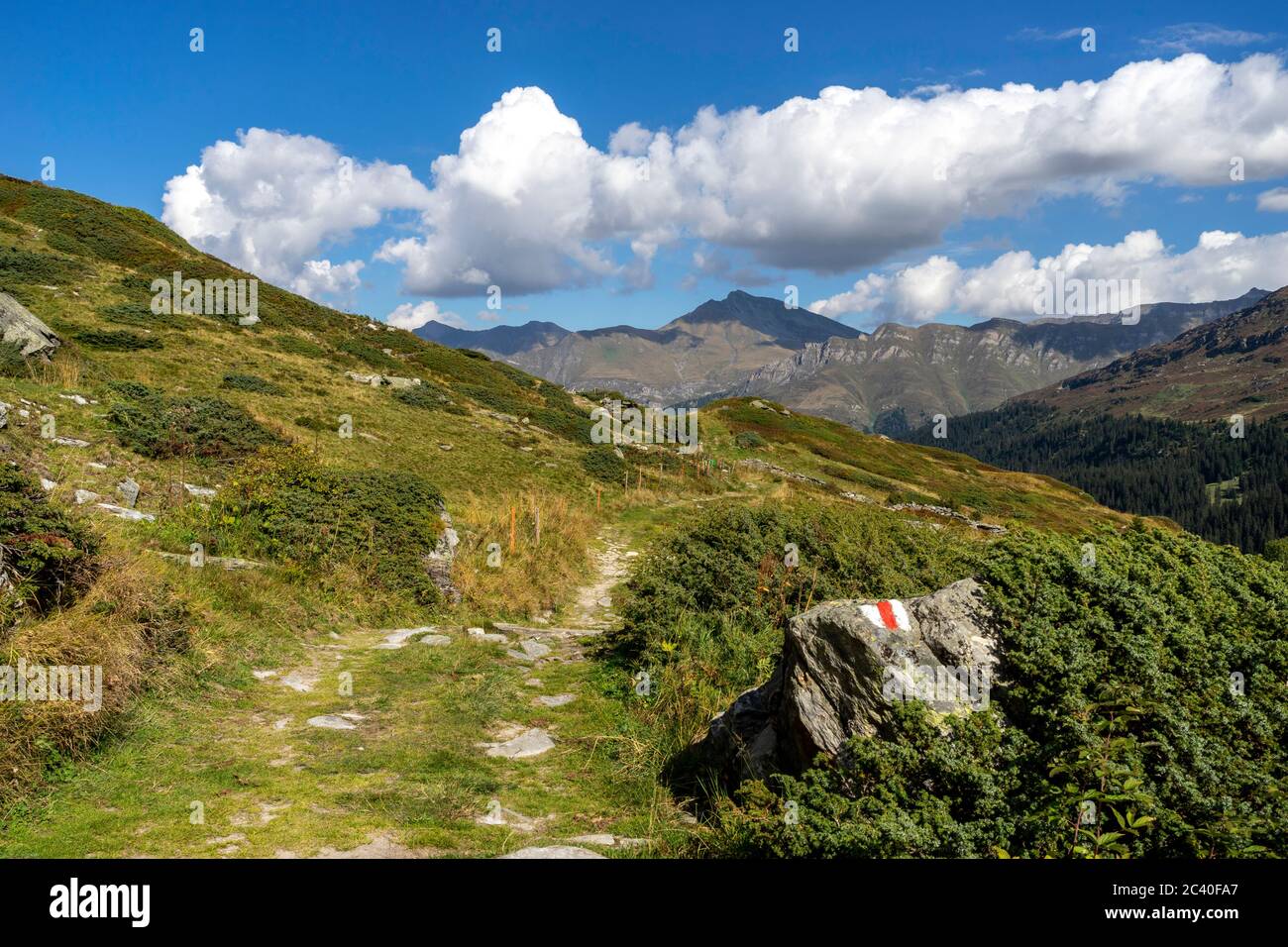 Plangghora hi-res stock photography and images - Alamy