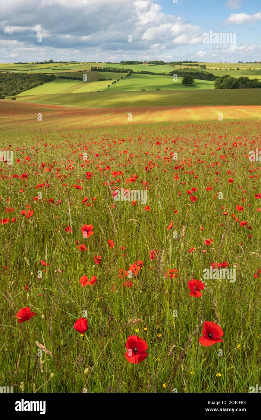 North east england landscape hi-res stock photography and images - Alamy