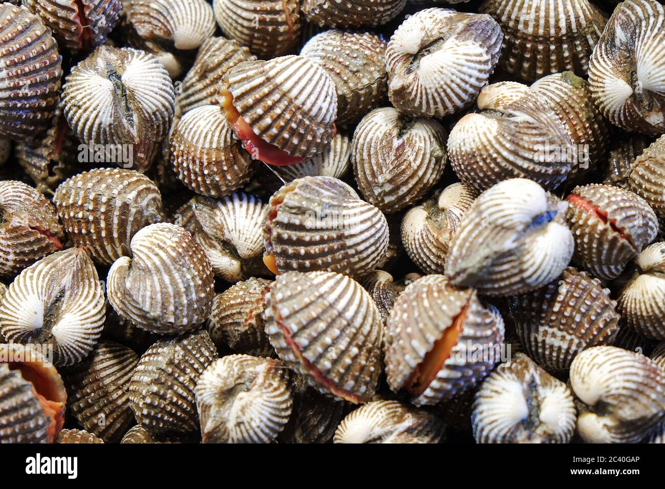 Cockle farm hi-res stock photography and images - Alamy