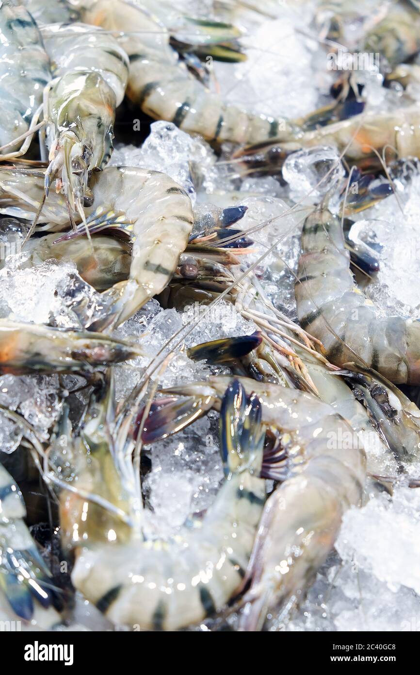 Fresh Prawn at seafood market Stock Photo - Alamy