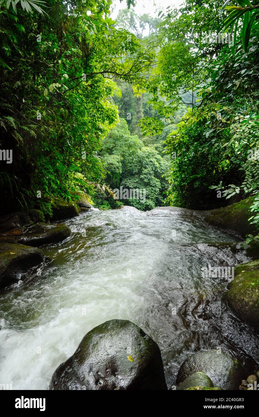 Beautiful river with black rocks passing through in the Indonesian ...