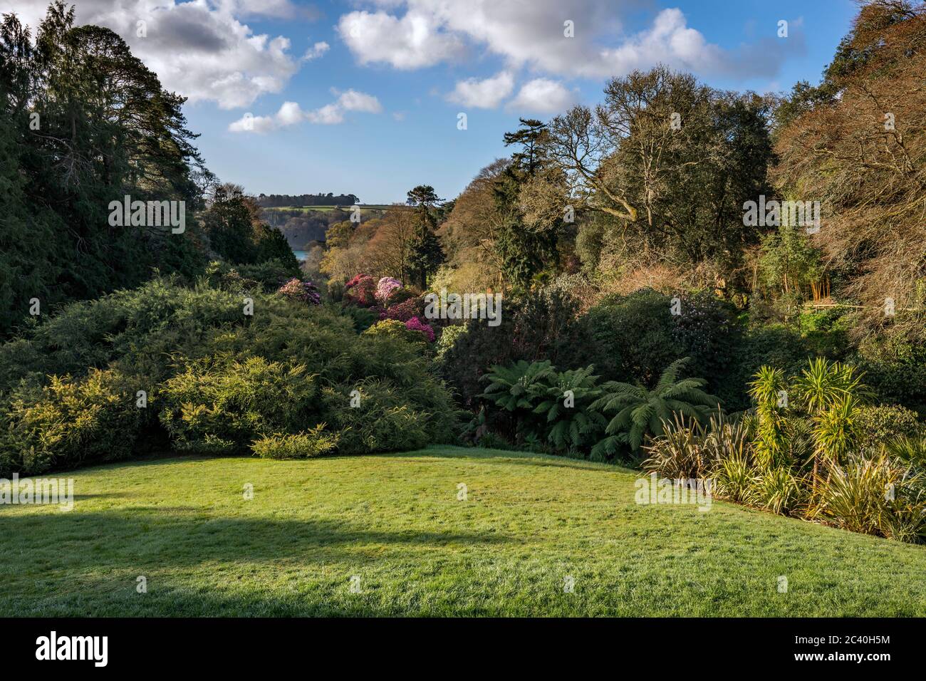 Trebah Garden; Spring; Cornwall; UK Stock Photo - Alamy