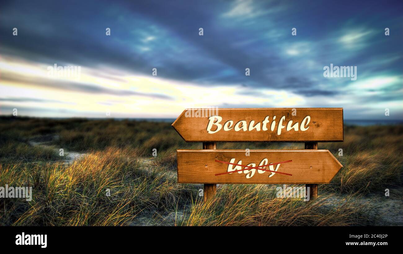 Street Sign the Direction Way to Beautiful versus Ugly Stock Photo - Alamy