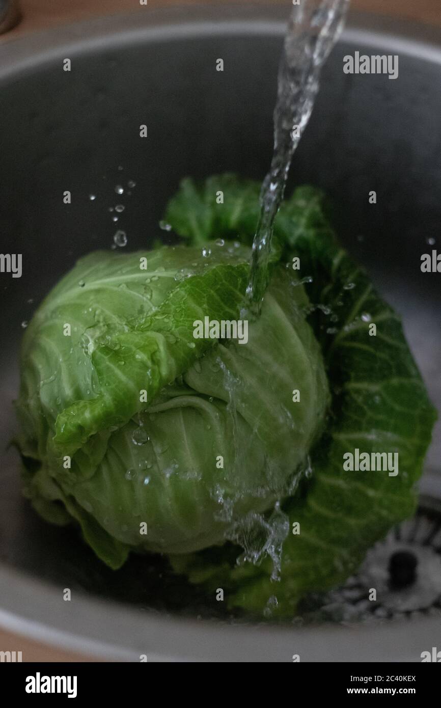 Wash cabbage hi-res stock photography and images - Alamy