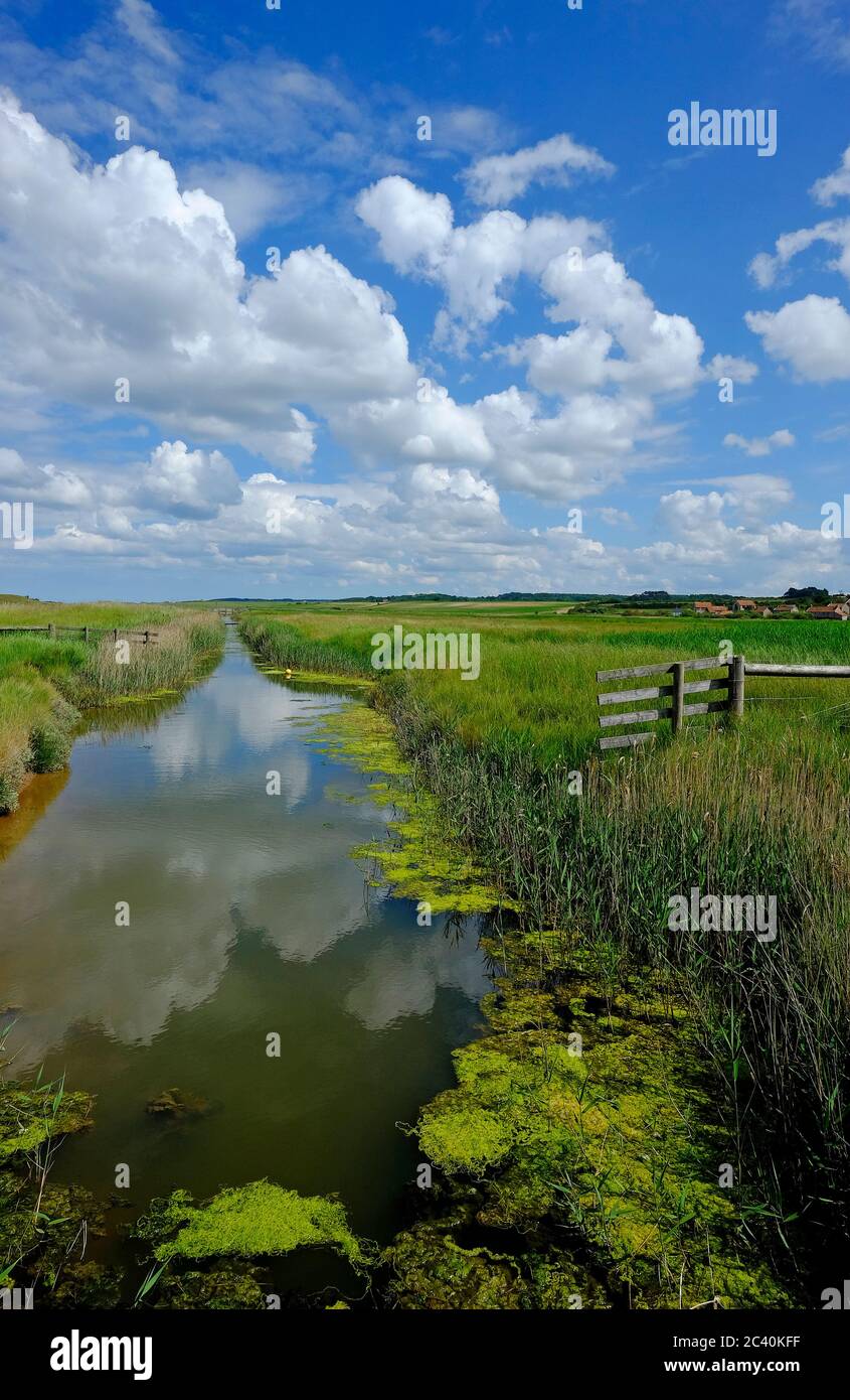 saltmarsh at salthouse, north norfolk, england Stock Photo - Alamy