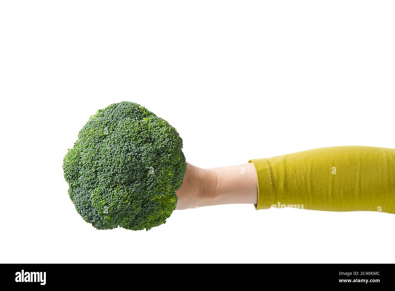 Fresh Organic Green Broccoli in Woman's Hand, Concept Healthy Food ...