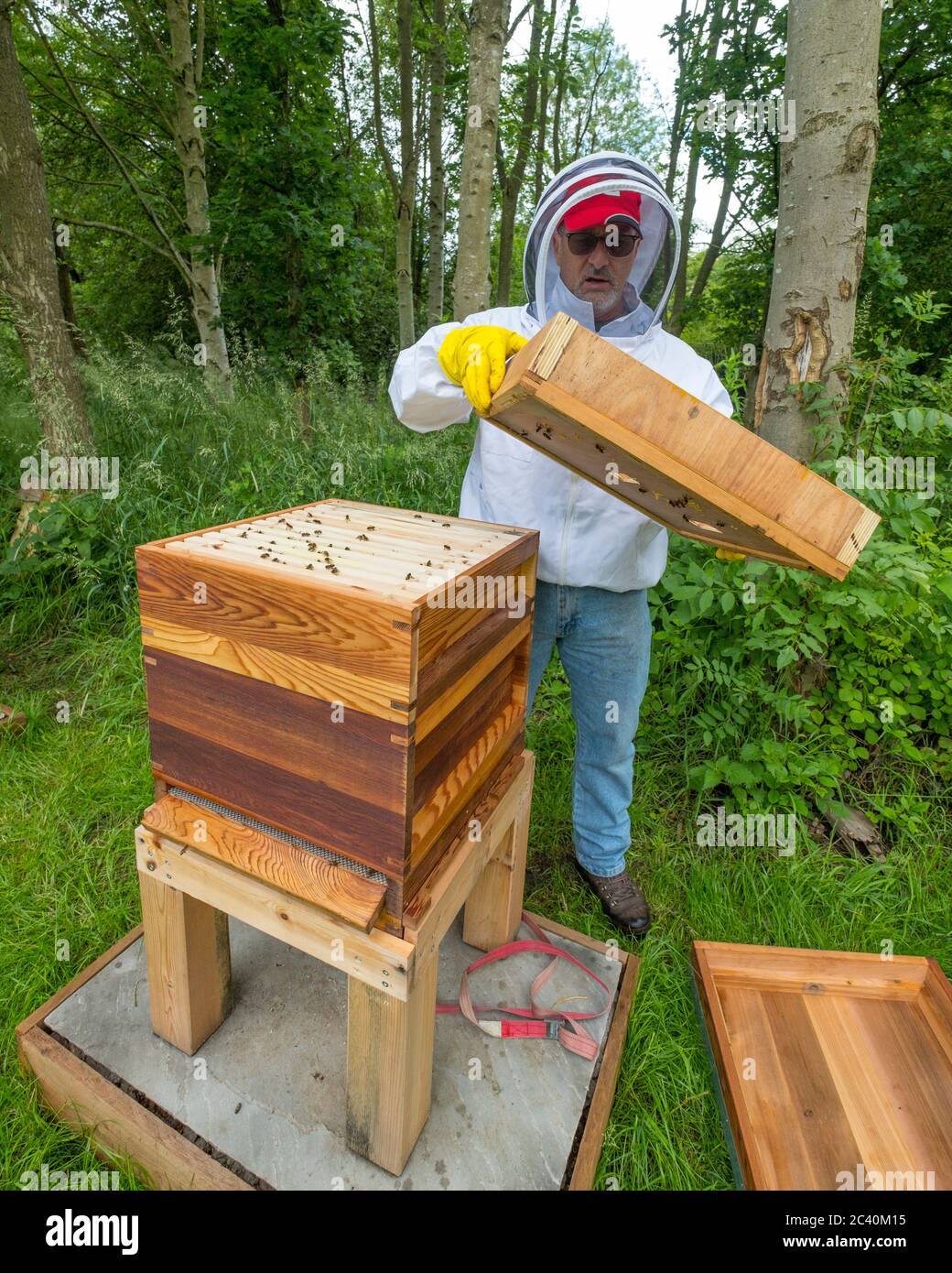 Beekeeper work frames bee hive hi-res stock photography and images - Alamy