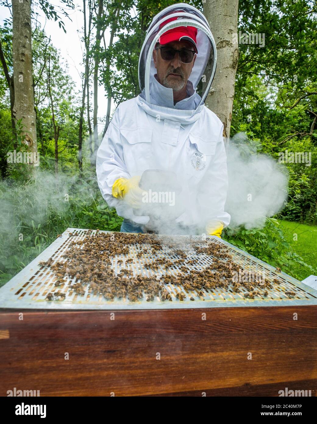 Beekeeper jacket hi-res stock photography and images - Alamy