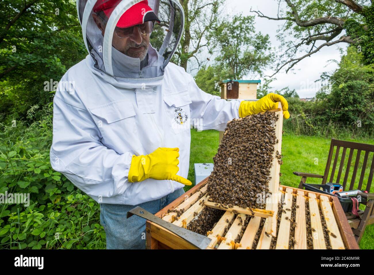 A beekeeper at work on his hives Stock Photo - Alamy