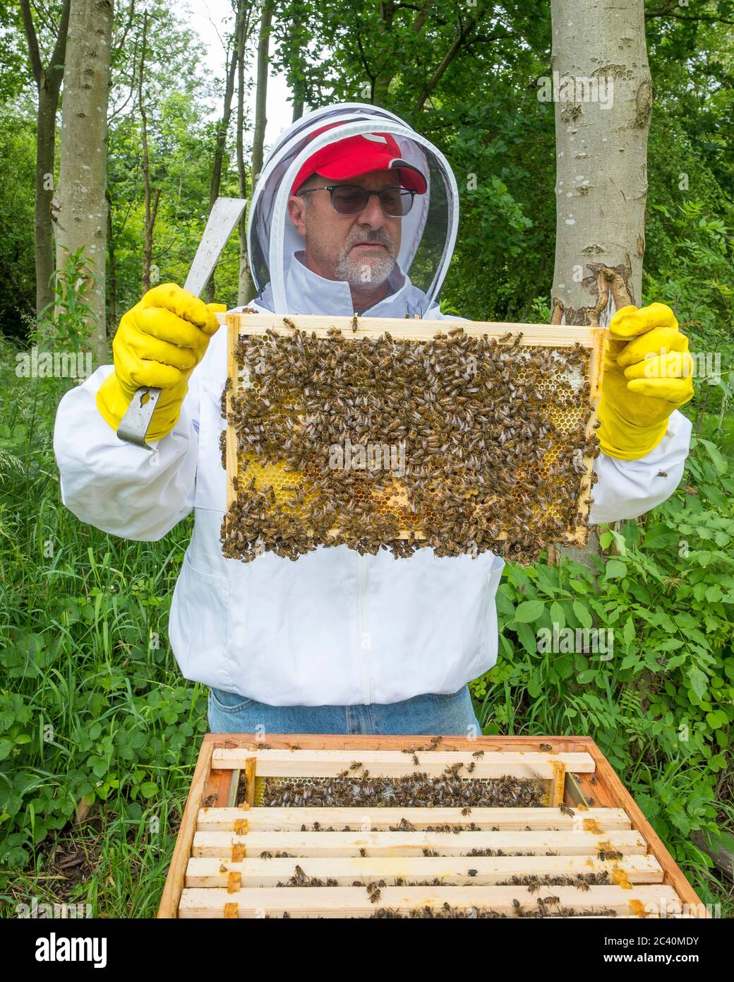 Beekeeper jacket hi-res stock photography and images - Alamy