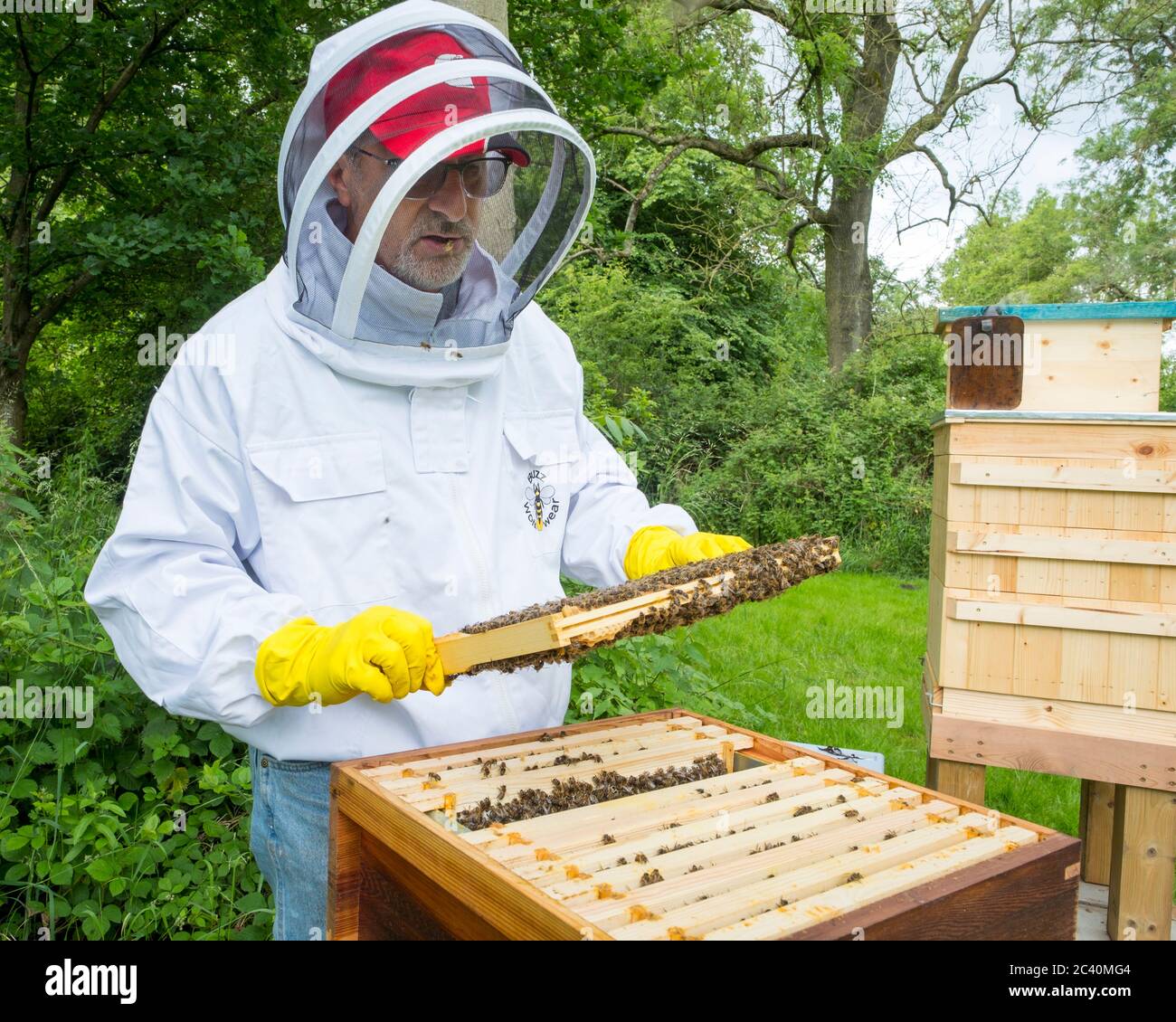Beekeeper jacket hi-res stock photography and images - Alamy