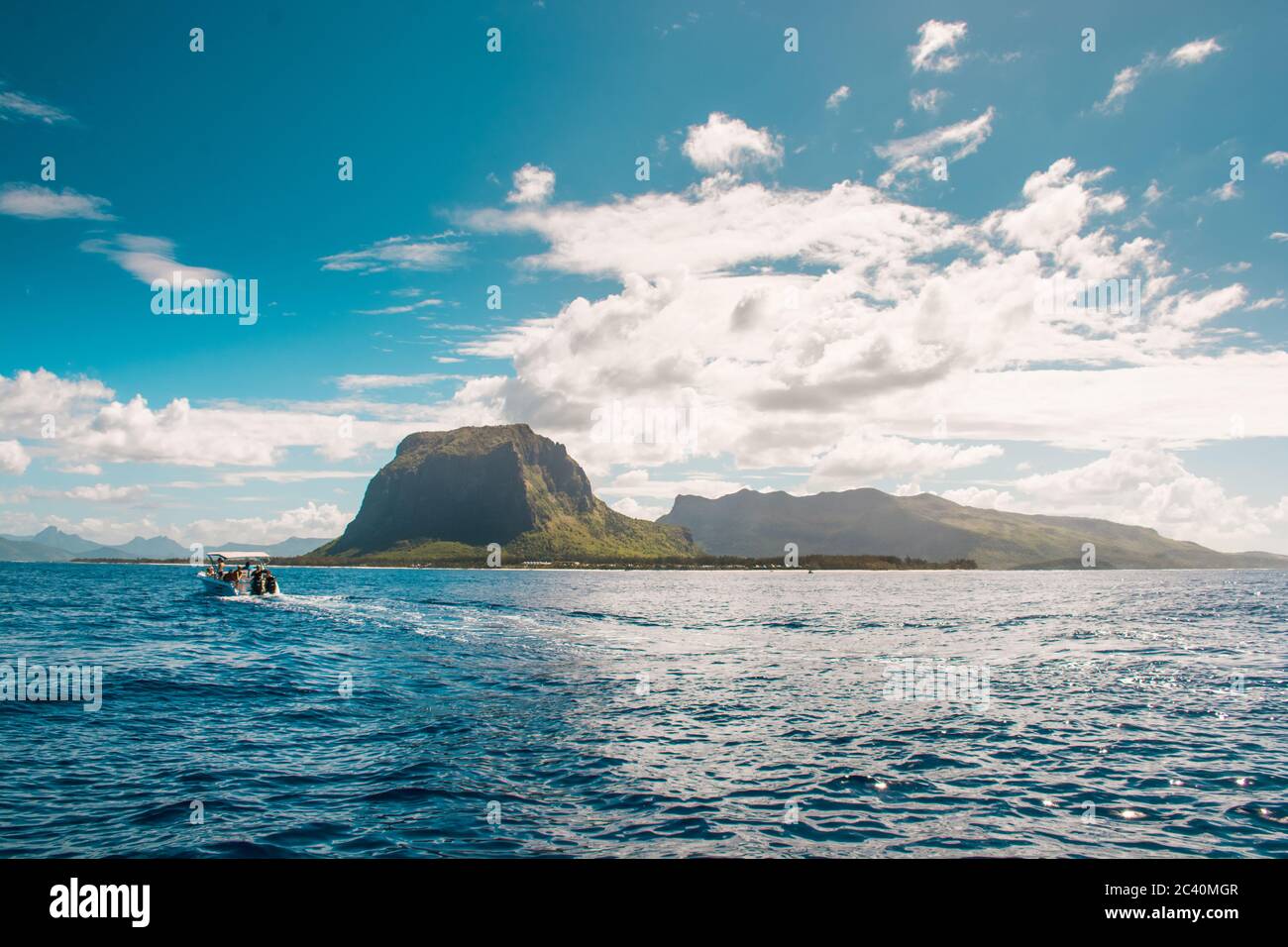 Swimming with dolphins in Le Morne Mauritius Stock Photo - Alamy