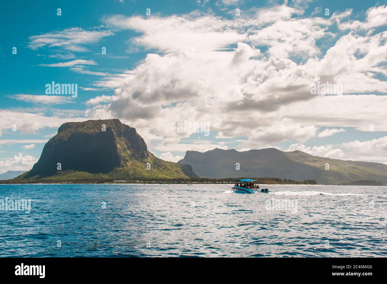 Swimming with dolphins in Le Morne Mauritius Stock Photo - Alamy