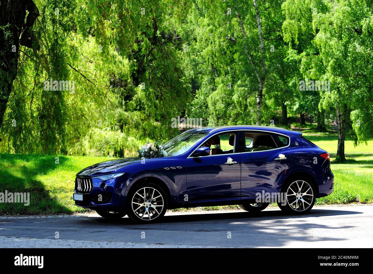 auto, beauty, blue, car, celebration, ceremony, decor, decorated ...