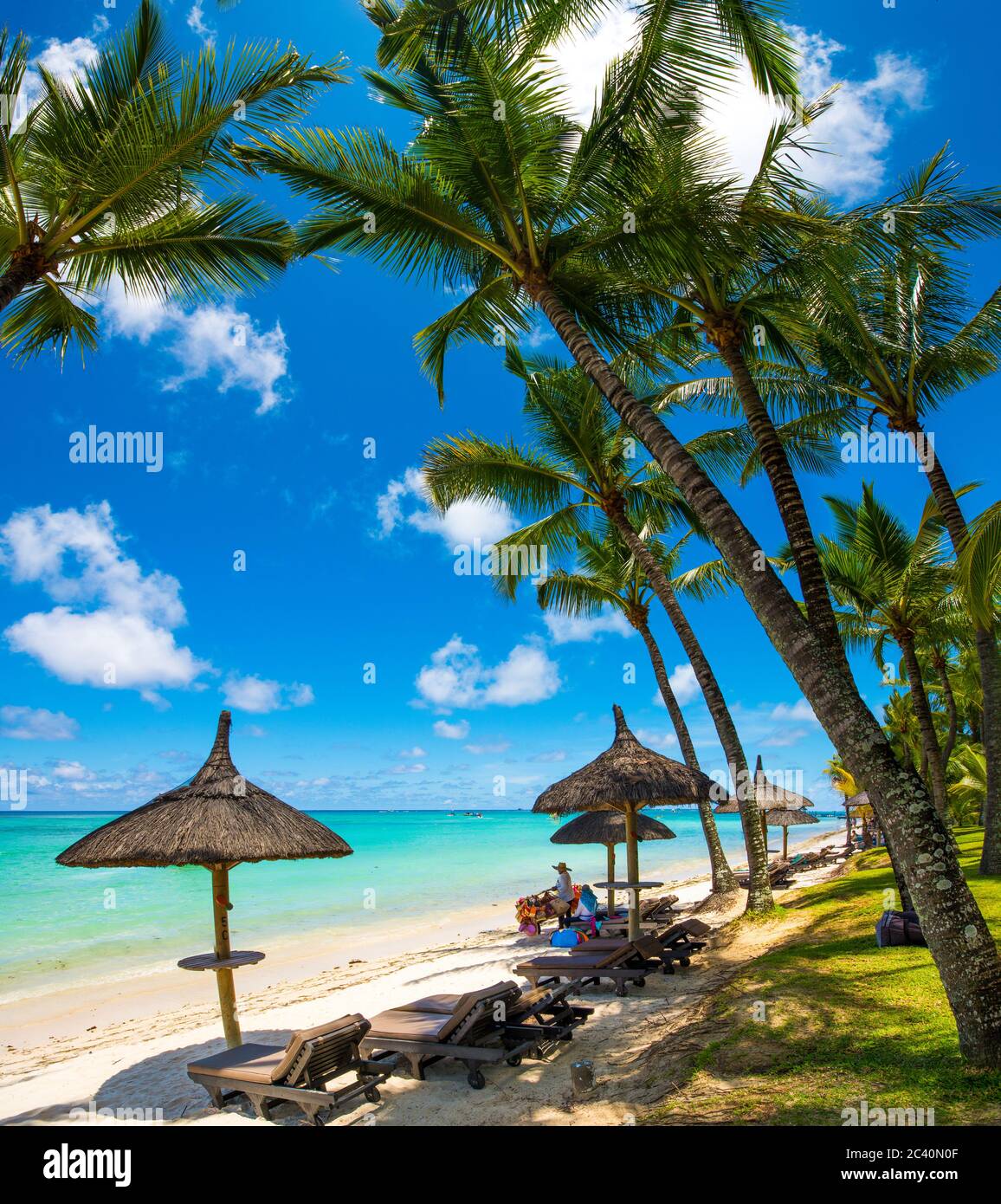 Trou aux biches Mauritius.Tropical exotic beach with palm trees and ...