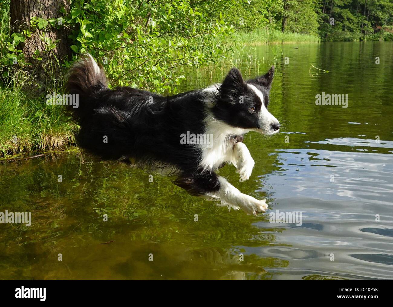 15 june 2020 hi-res stock photography and images - Alamy