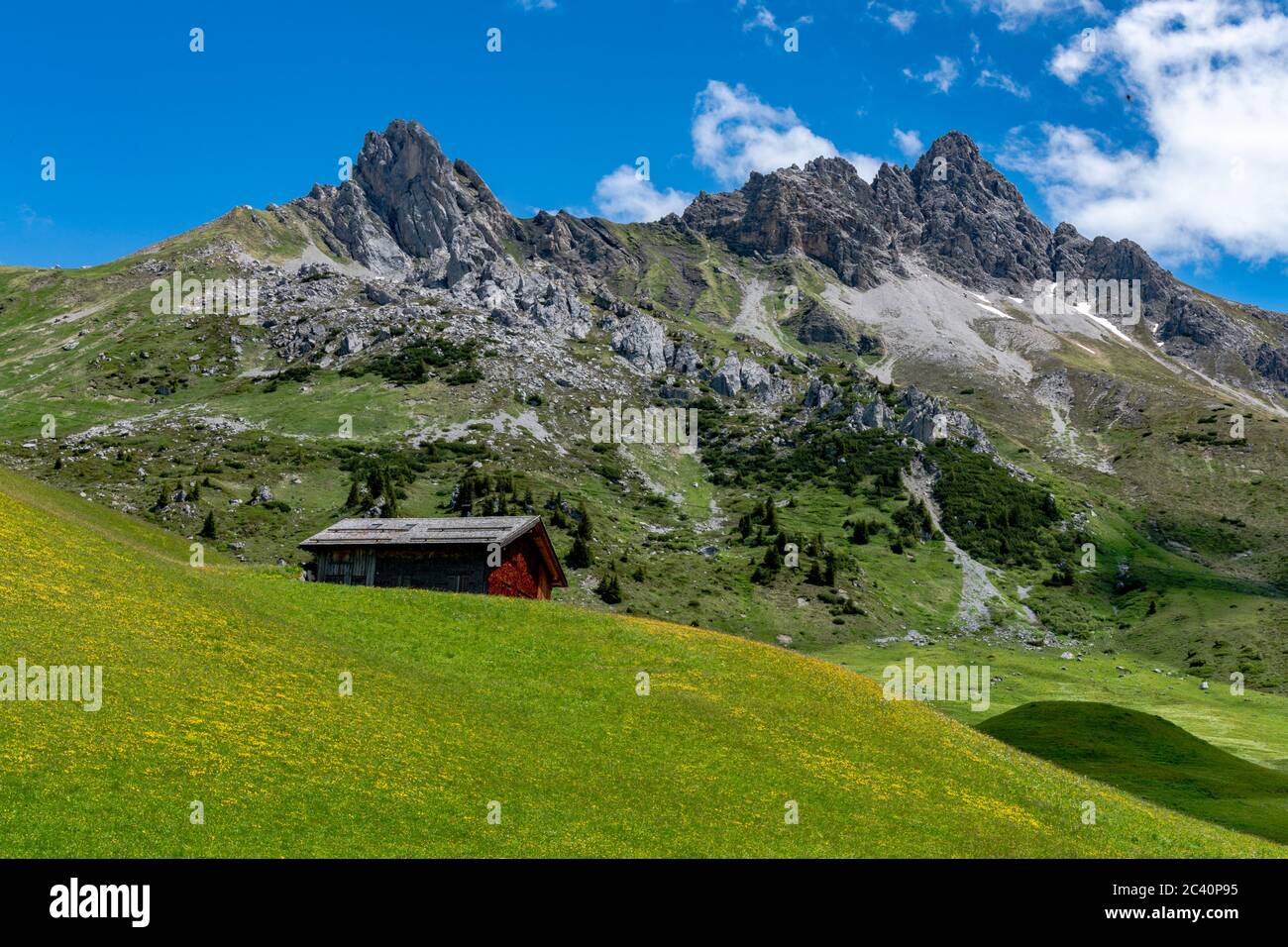 Tal der blumen hi-res stock photography and images - Alamy