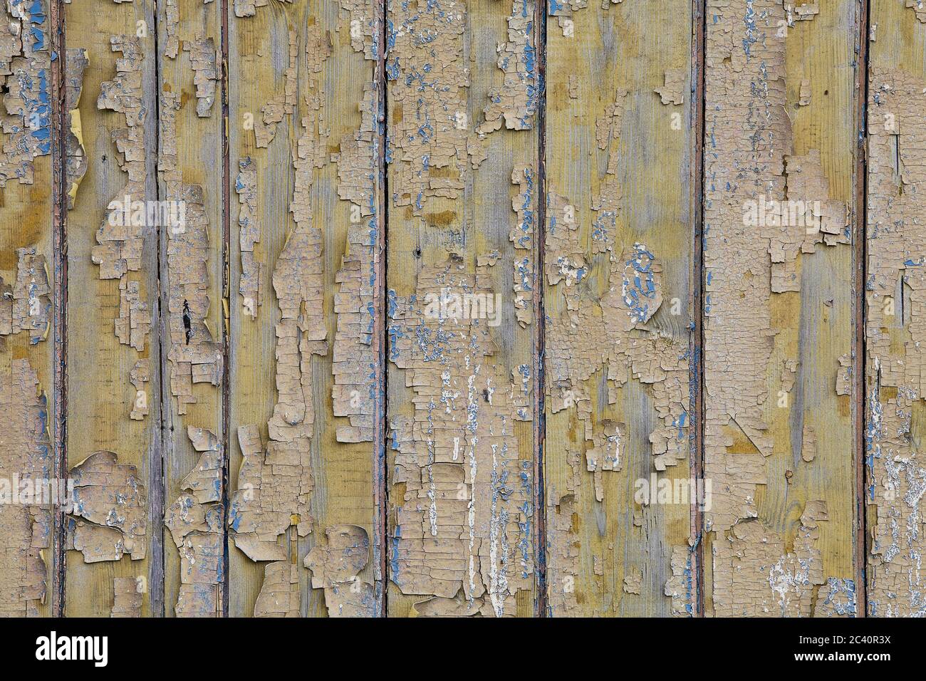 Old wooden painted rustic wall with blue flaky dye. Faded wood planks ...