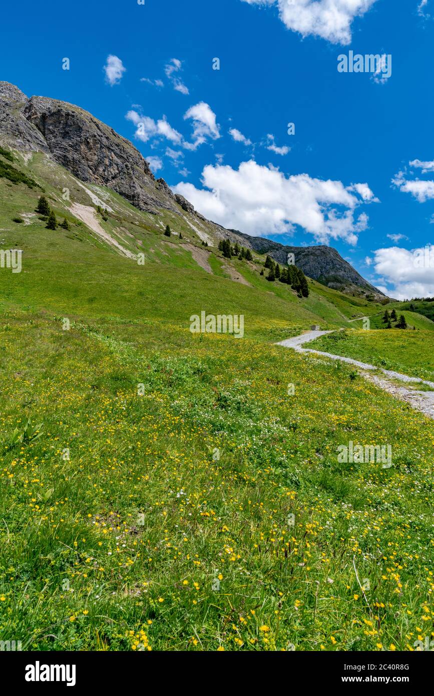 Tal der blumen hi-res stock photography and images - Alamy