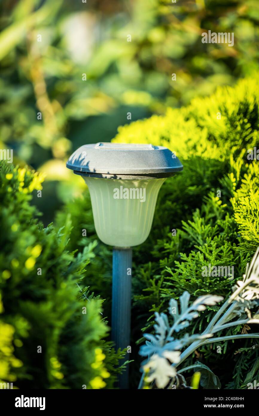 Beautiful Small Solar Garden Light, Lanterns In Flower Bed. Garden ...