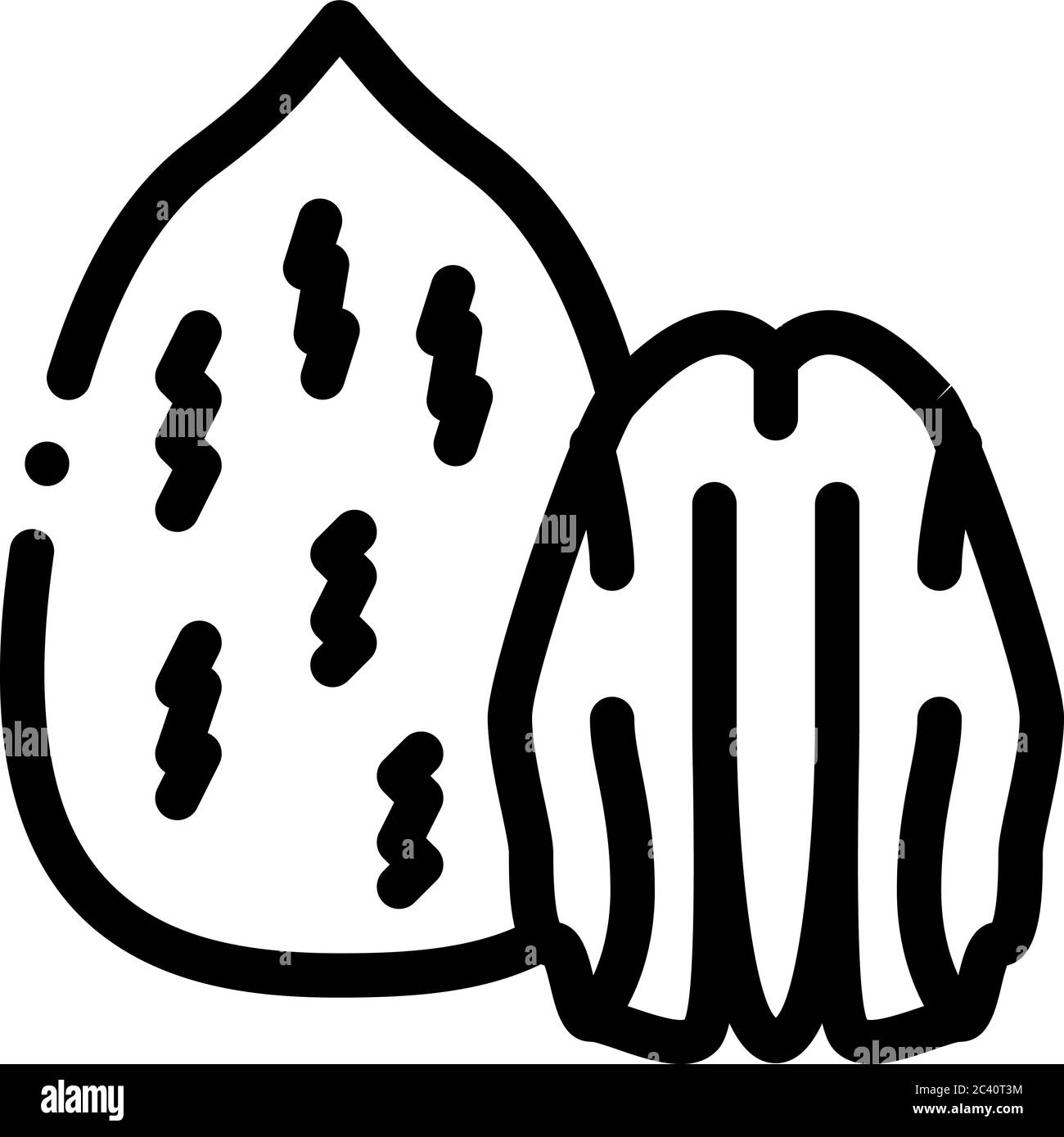 pecan nut icon vector outline illustration Stock Vector Image & Art - Alamy