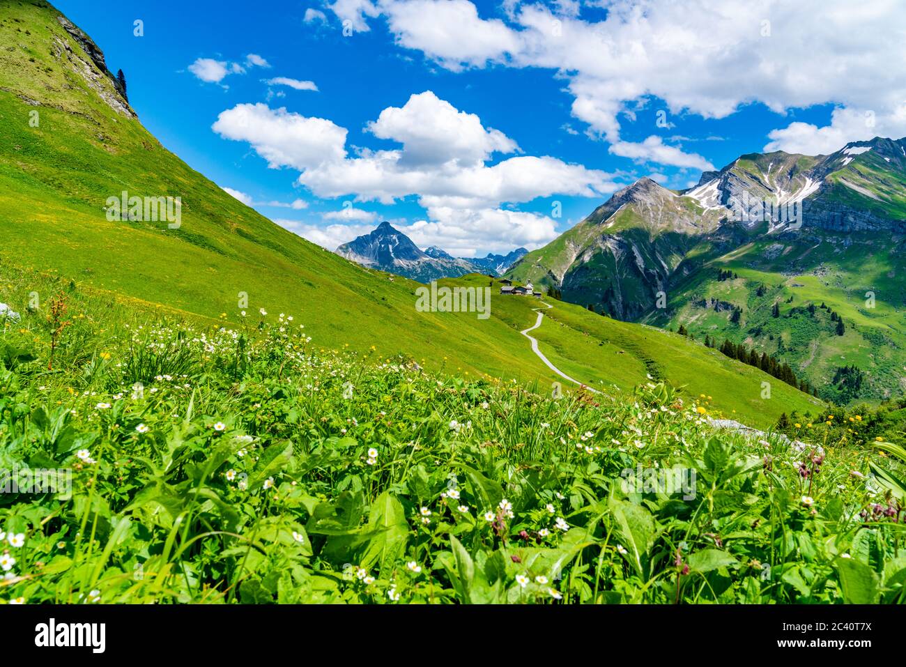 Alp landschaft hi-res stock photography and images - Alamy