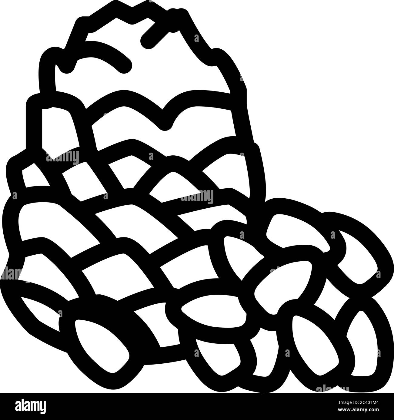 pine nut icon vector outline illustration Stock Vector Image & Art - Alamy