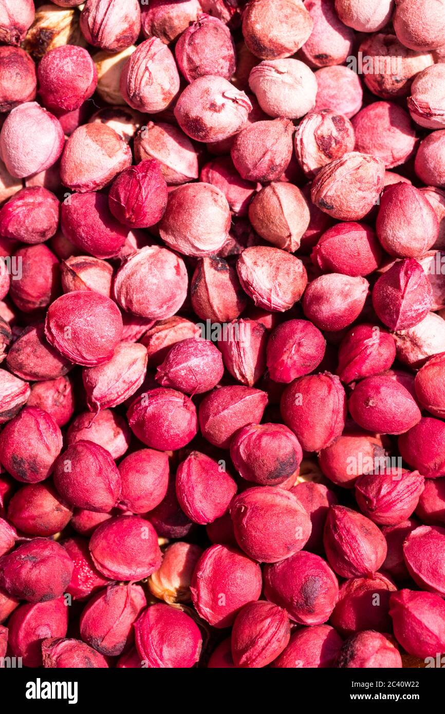 Pile of sour cherry Prunus cerasus pits Stock Photo - Alamy