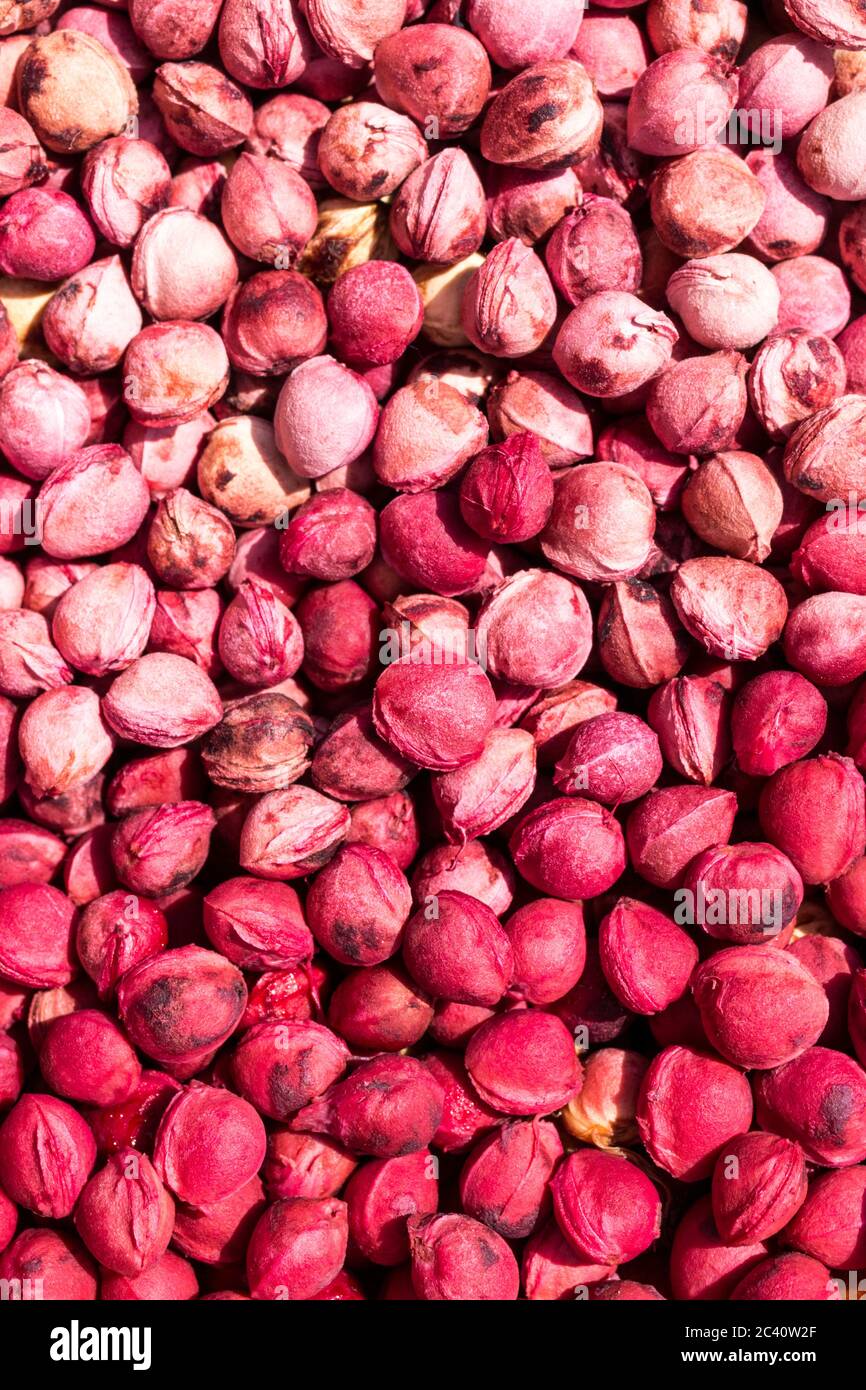 Pile of sour cherry Prunus cerasus pits Stock Photo - Alamy