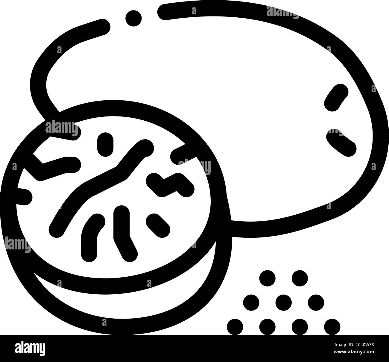 nutmeg nut icon vector outline illustration Stock Vector Image & Art ...