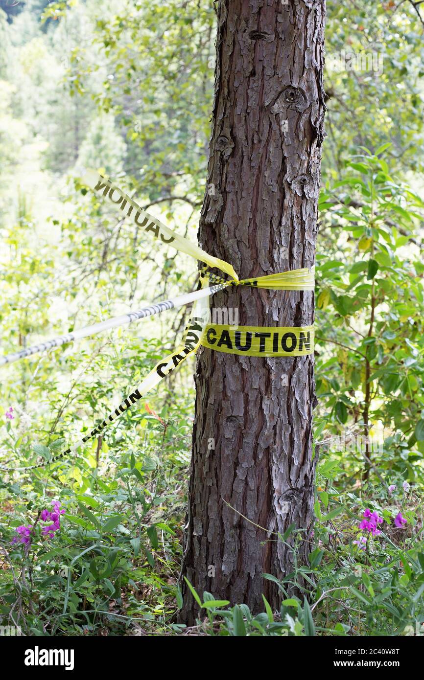 Wrapped timber hi-res stock photography and images - Alamy