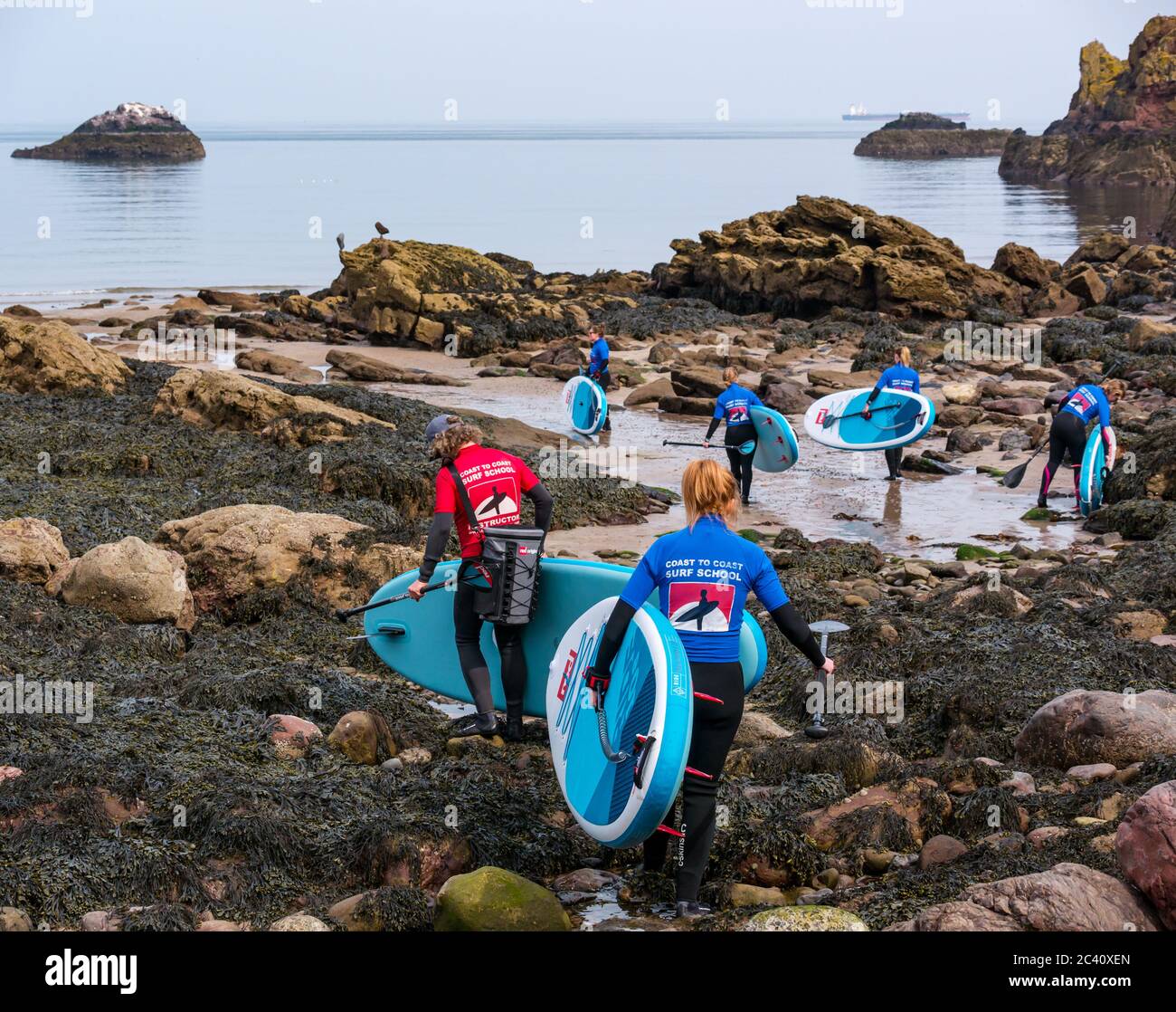 Wetsuits carrying paddle board hi-res stock photography and images - Alamy