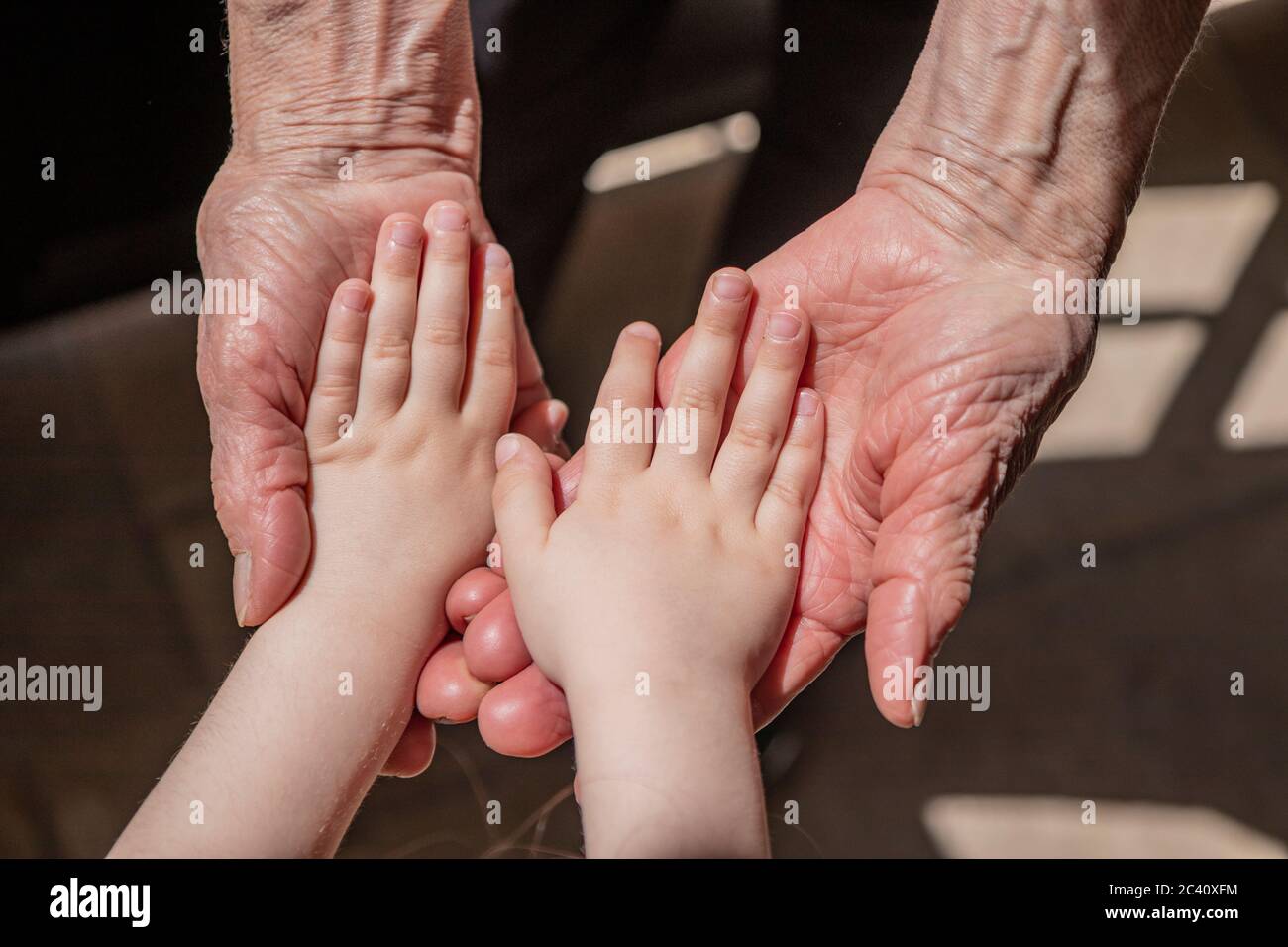 An elderly woman (old lady, grandmother) holds her little granddaughter ...