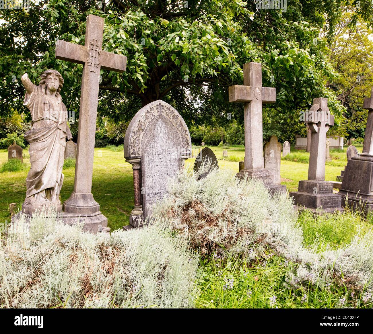 Fulham cemetery hi-res stock photography and images - Alamy